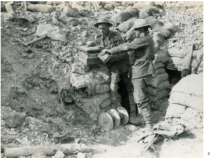 CARRIER PIGEONS IN WW1 The Royal Montreal Regiment